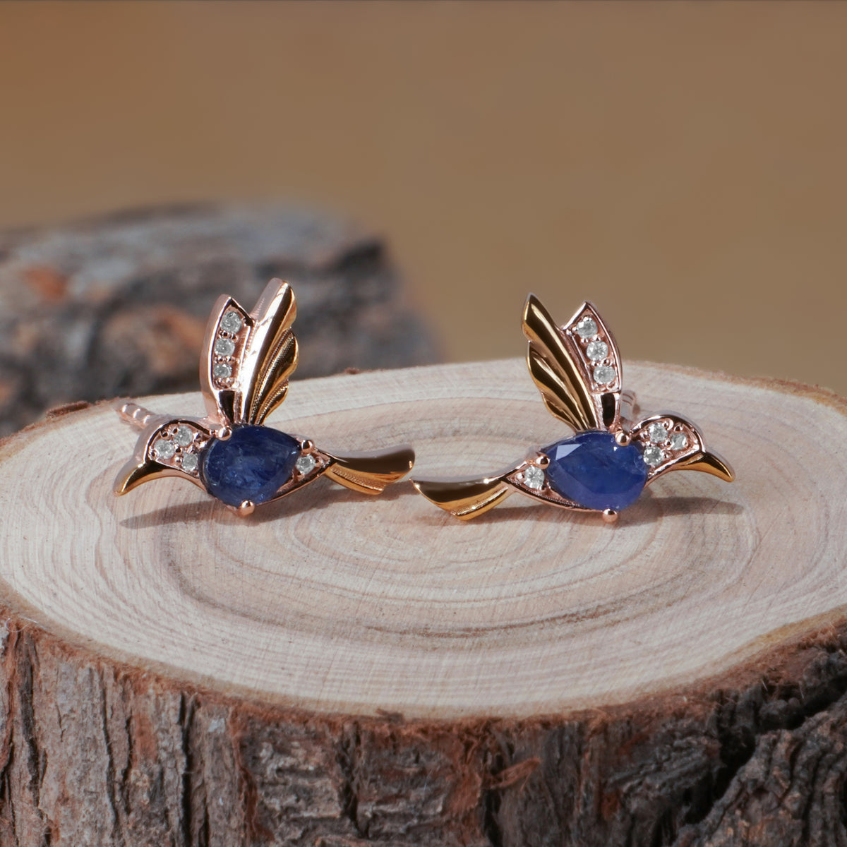 Earrings – Starlette